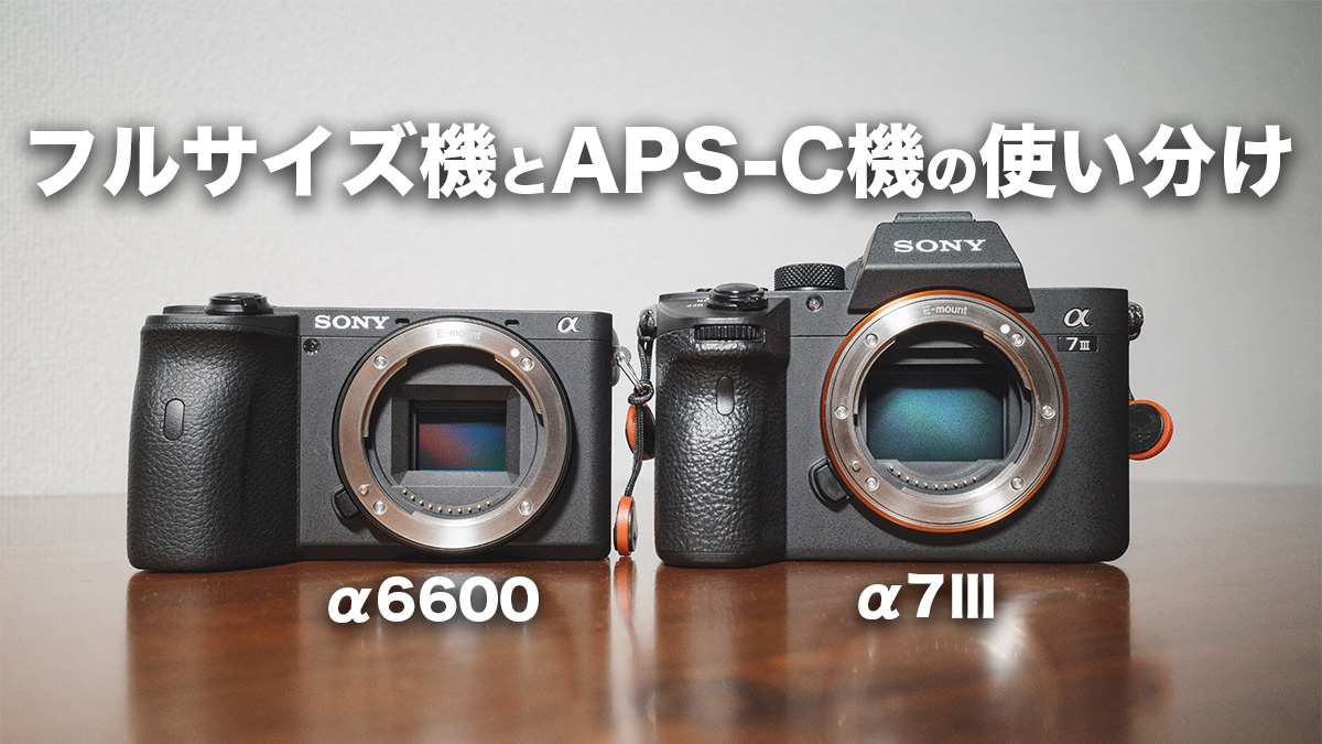 フルサイズ機とAPS-C機の使い分けと2台目の選び方